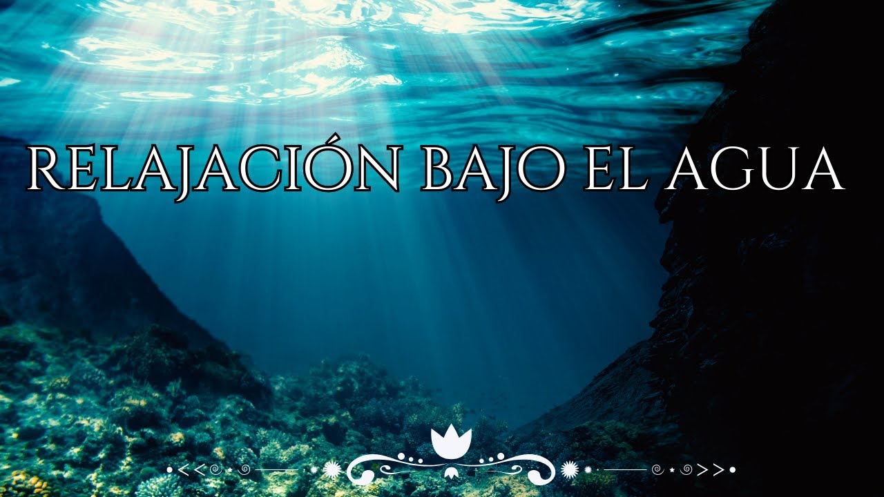 Música relajante y fondos marinos - Relajante, Alivio del Estrés, Calma ...
