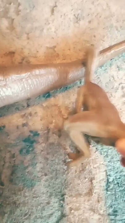 when you get on someone's nerves - YouTube