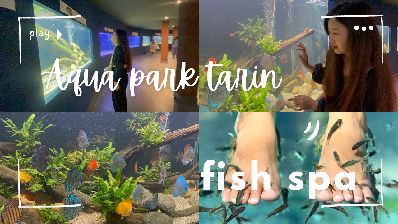Aqua park tarin🐟🐠🦐🐬|| fish spa || hapoli ziro||😃 - YouTube