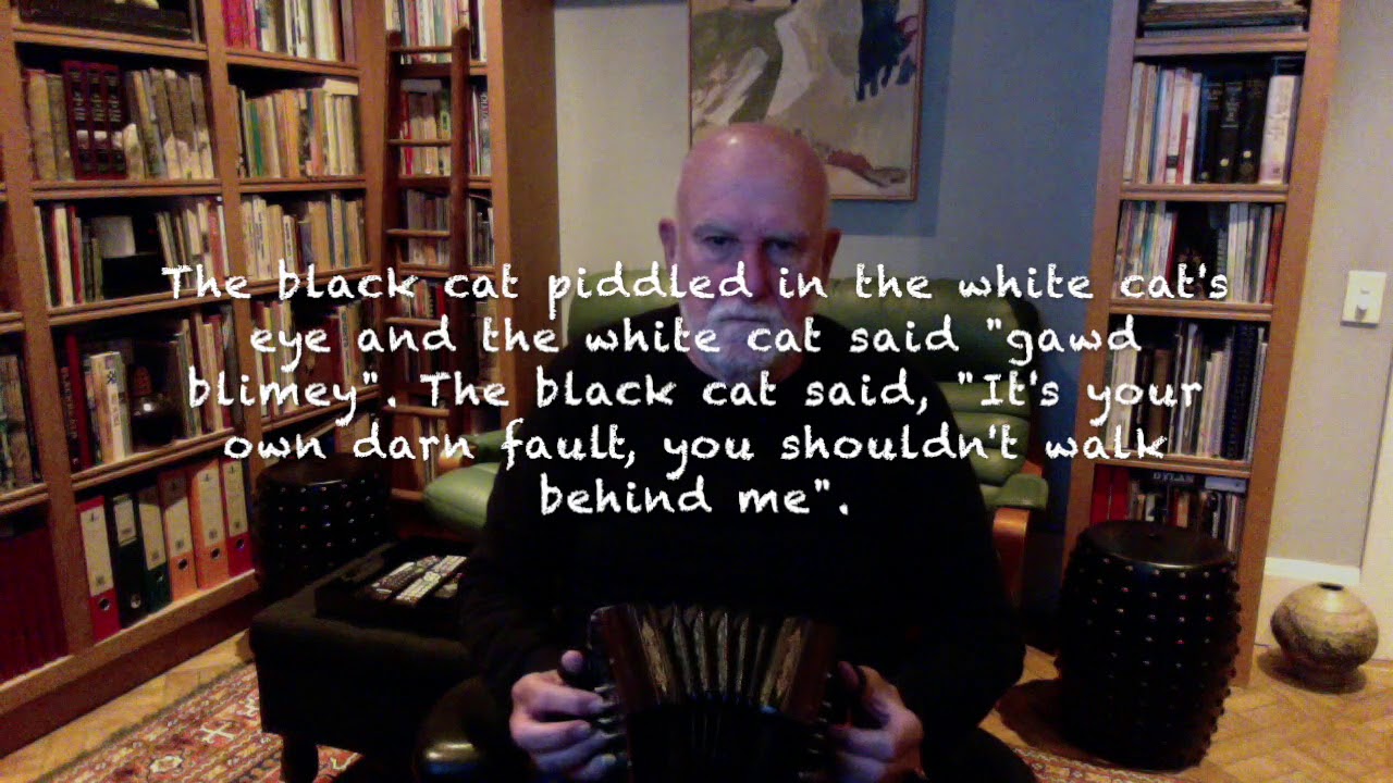 The Black Cat Piddled in the White Cat's Face - YouTube