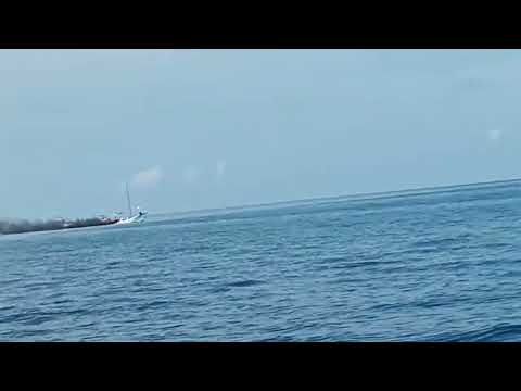 klotok pulau Bawean (keppo vs pamona) part 2