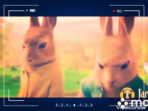 QUYONCHALAR, - YouTube