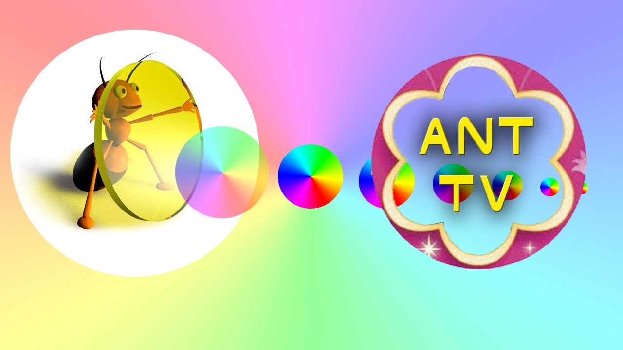 New ANT TV | Full Episode | Disney - YouTube