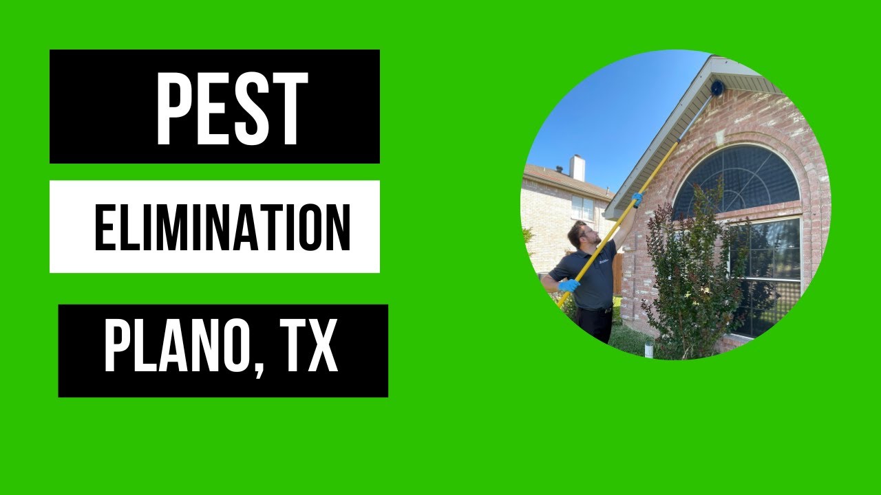 The Best Pest Control Company In Plano, TX #preferredpestmanagement # ...