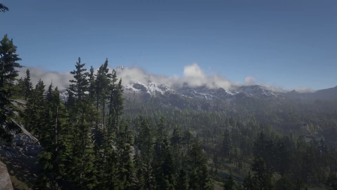 Red Dead Redemption 2 best view ever l enjoy landscape l RDR2 l RDR 2 ...