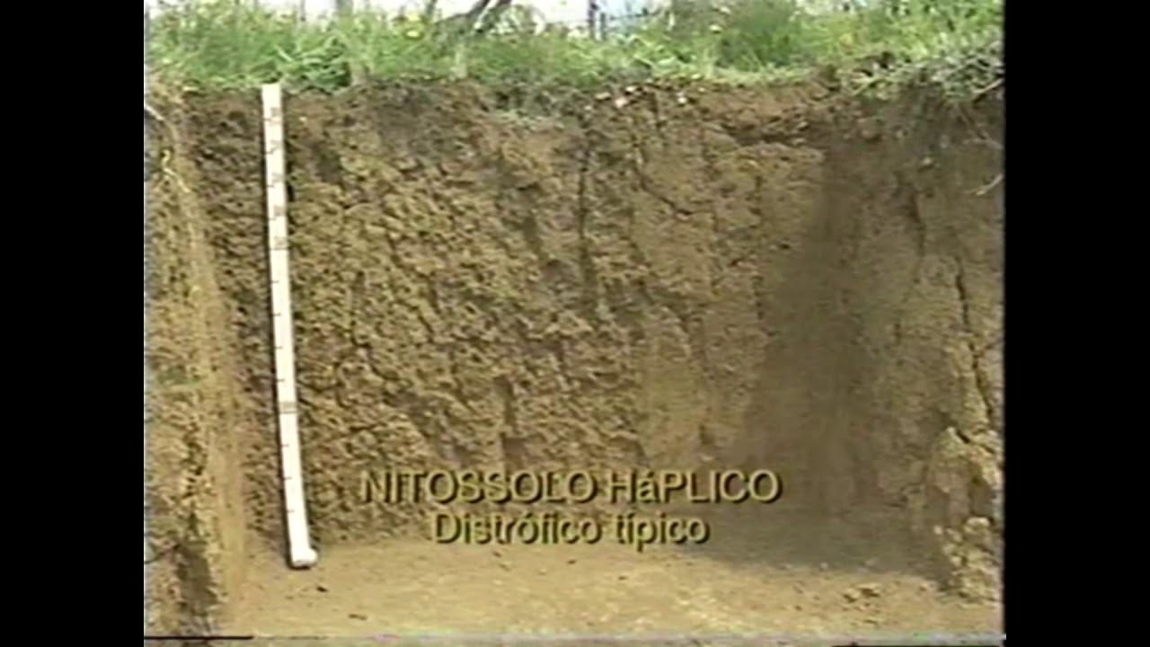 Nitossolos - YouTube