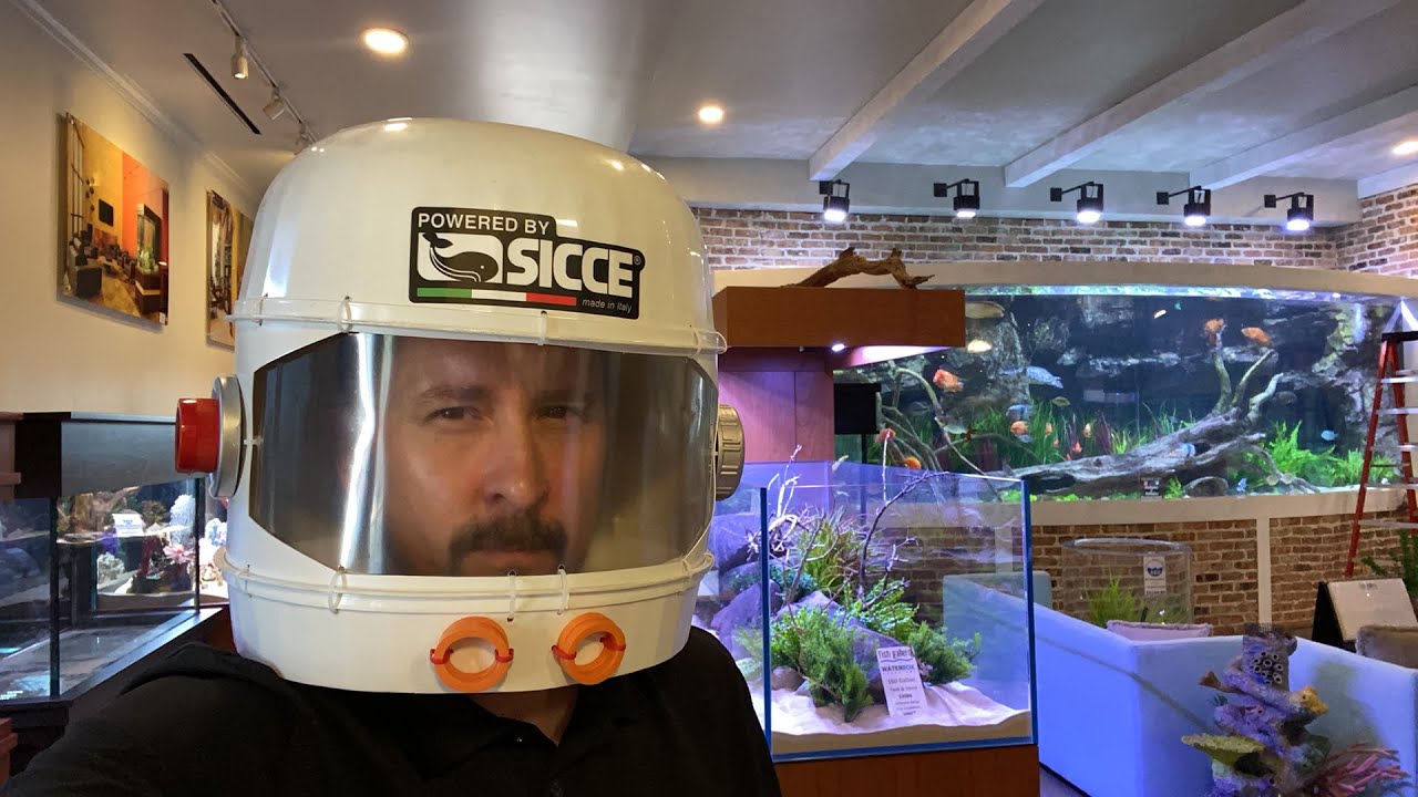 Fish gallery Aquascape - Star Wars - YouTube