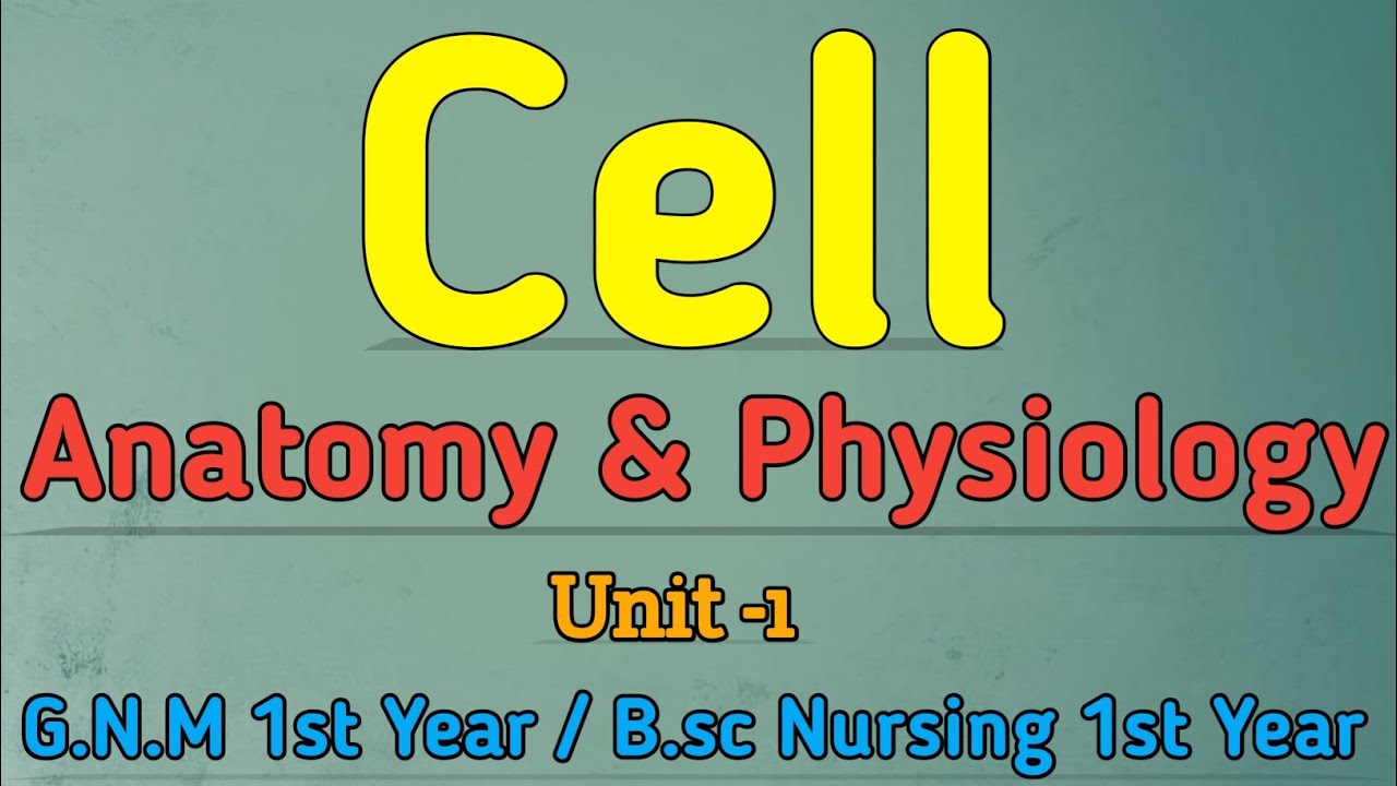 Cell || Cell Anatomy and Physiology || Anatomy & Physiology for Nursing ...
