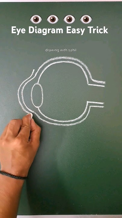 Eye diagram easy to draw | how to draw eye diagram easily #eye #diagram ...