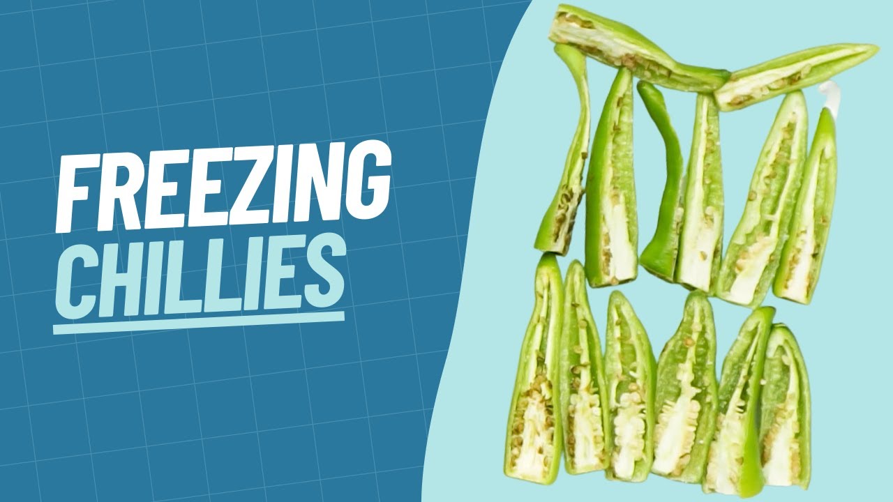 How to Freeze Chillies | Our Method for Freezing Fresh Chillies - YouTube