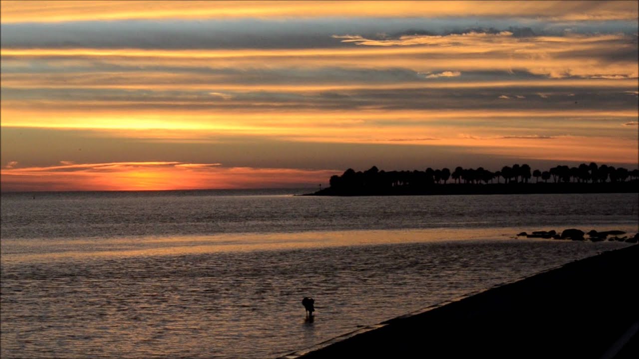 HD 10 Minute Sunset Scenic Still Video Howard Park Beach Florida - YouTube