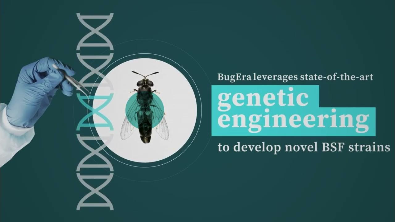 BugEra Insect Biotechnology - YouTube