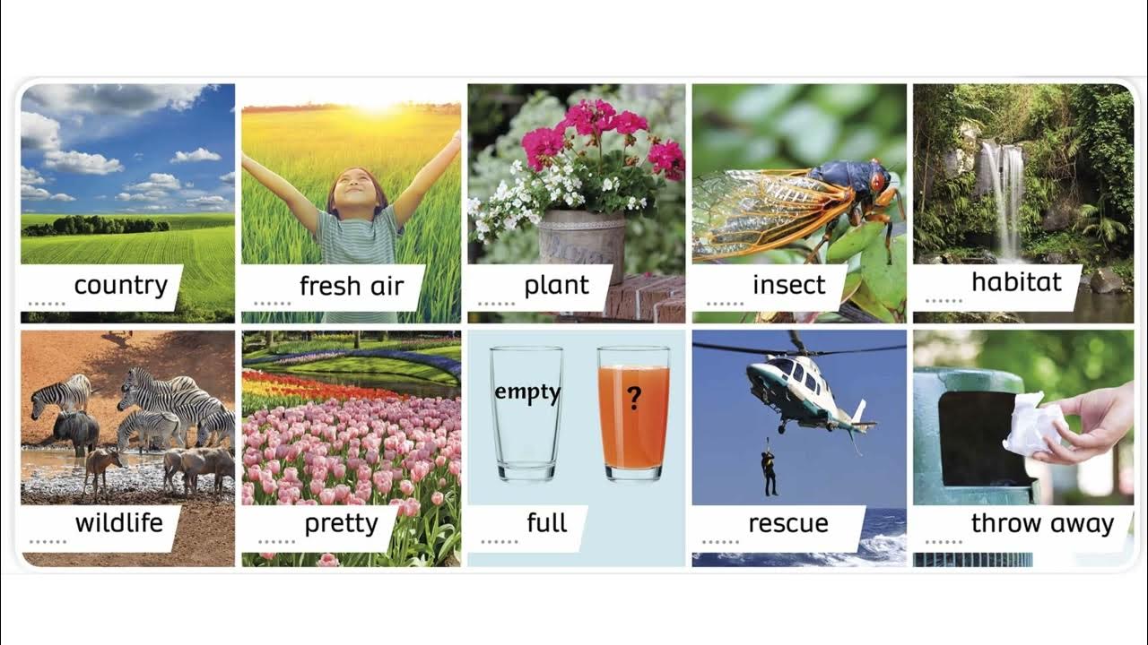 Unit 5 vocab 1 - YouTube