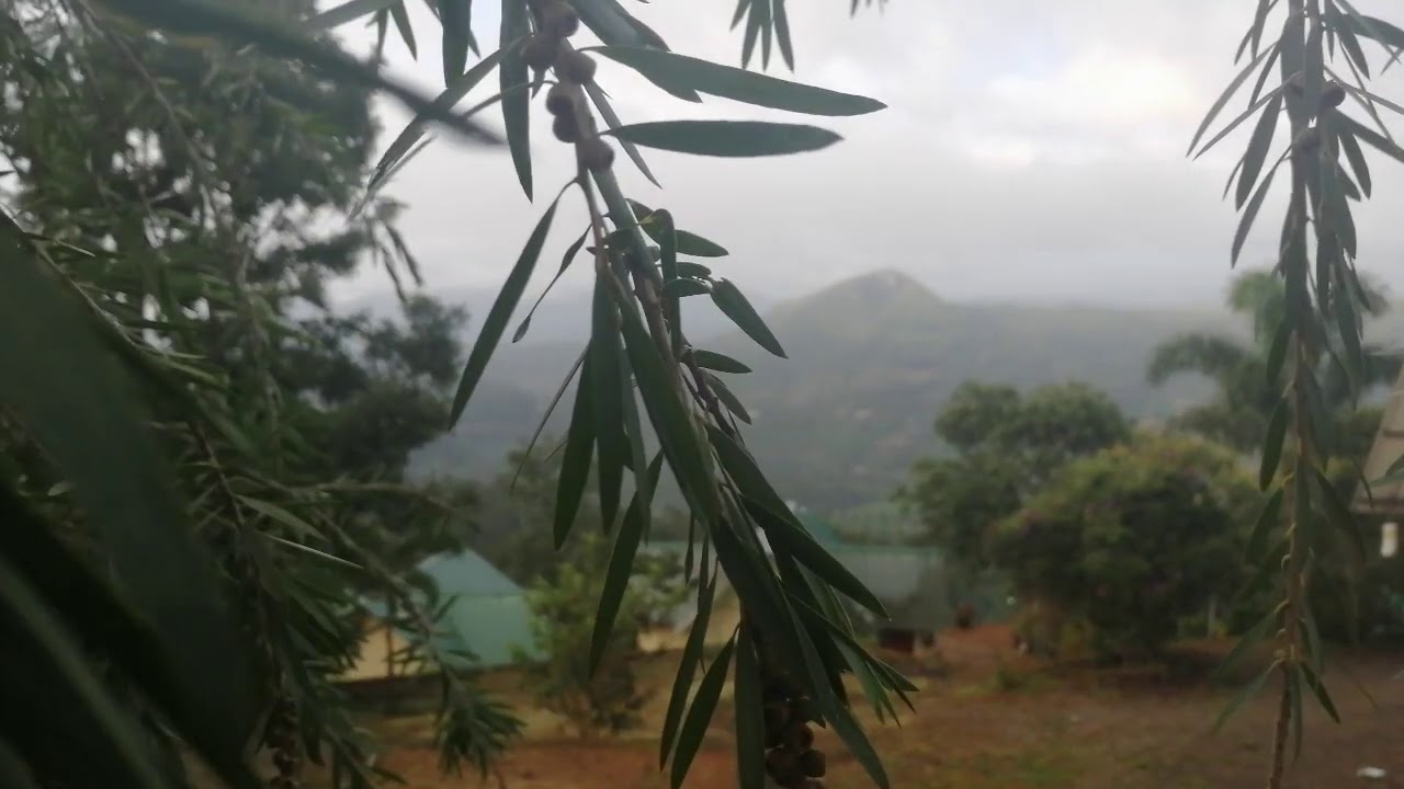 Idukki.... JC Hills Resort... Vagamon... - YouTube