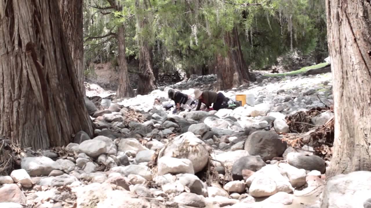 Rainwater Catchment System Project 2014 (Peace Corps Mexico) - YouTube