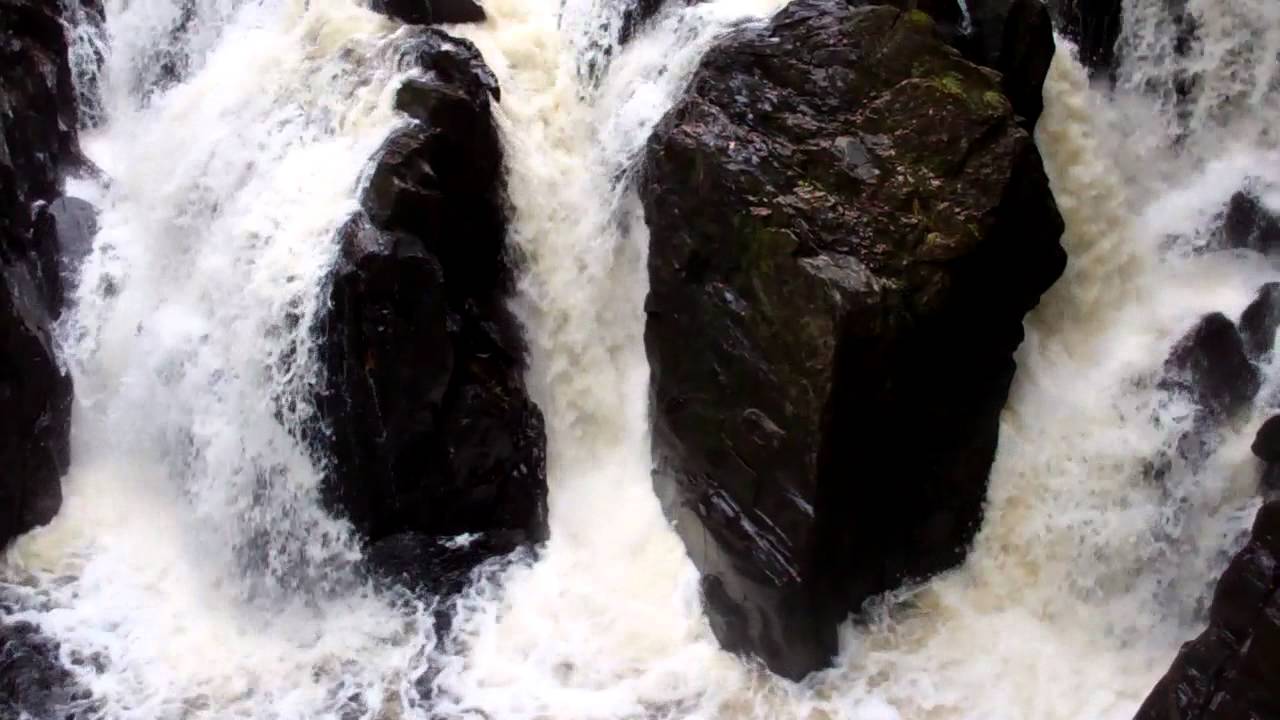 Salmon Leaping Black Linn Waterfall Scotland - YouTube