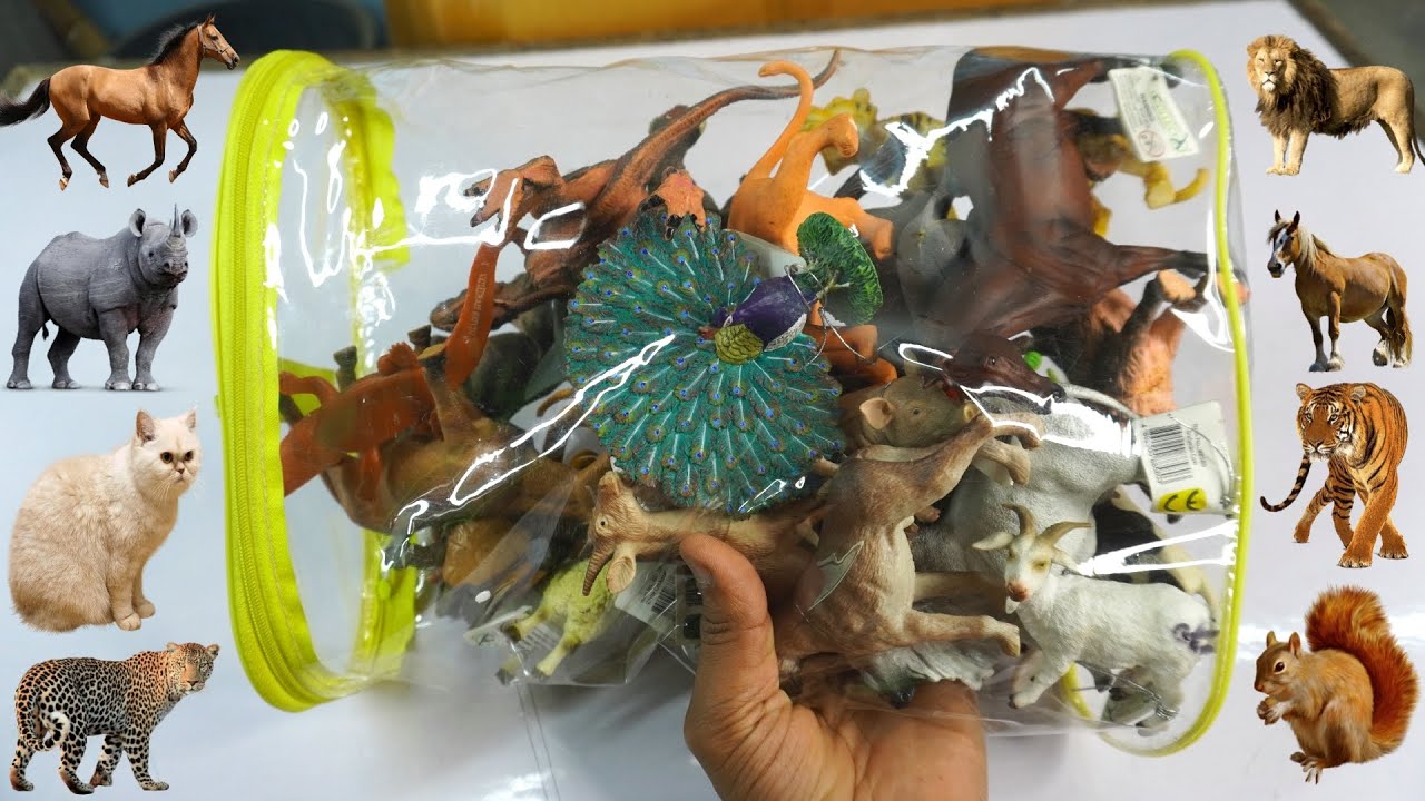 decoration sea animals entertainment 13++ dinosaur elephant donkey ...