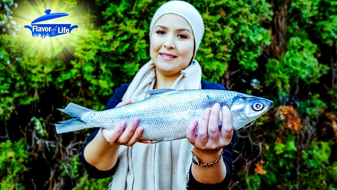 HOW to COOK MILKFISH | with Walnut and Pomegranate sauce - YouTube