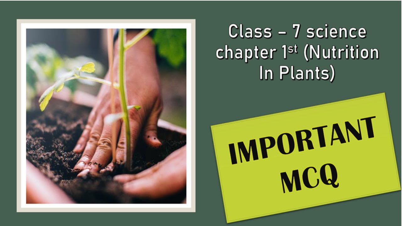 IMPORTANT MCQ OF CLASS 7th SCIENCE CHAPTER 1 (NUTRITION IN PLANTS)/ 15 ...