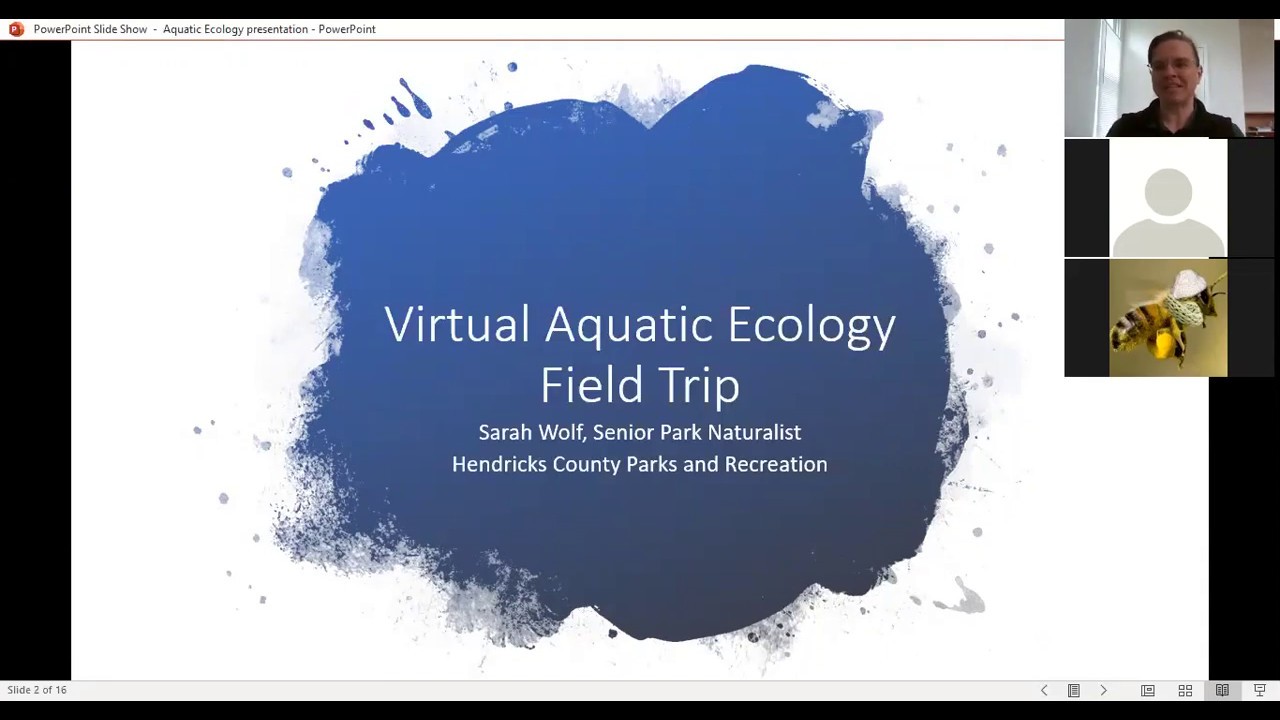 Virtual Aquatic Ecology Field Trip presentation - YouTube