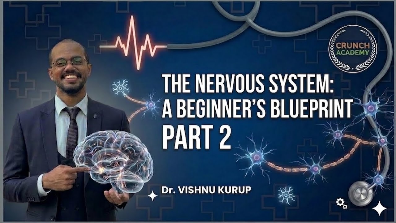 "Classification of the Nervous System: CNS vs. PNS Explained Simply-II ...