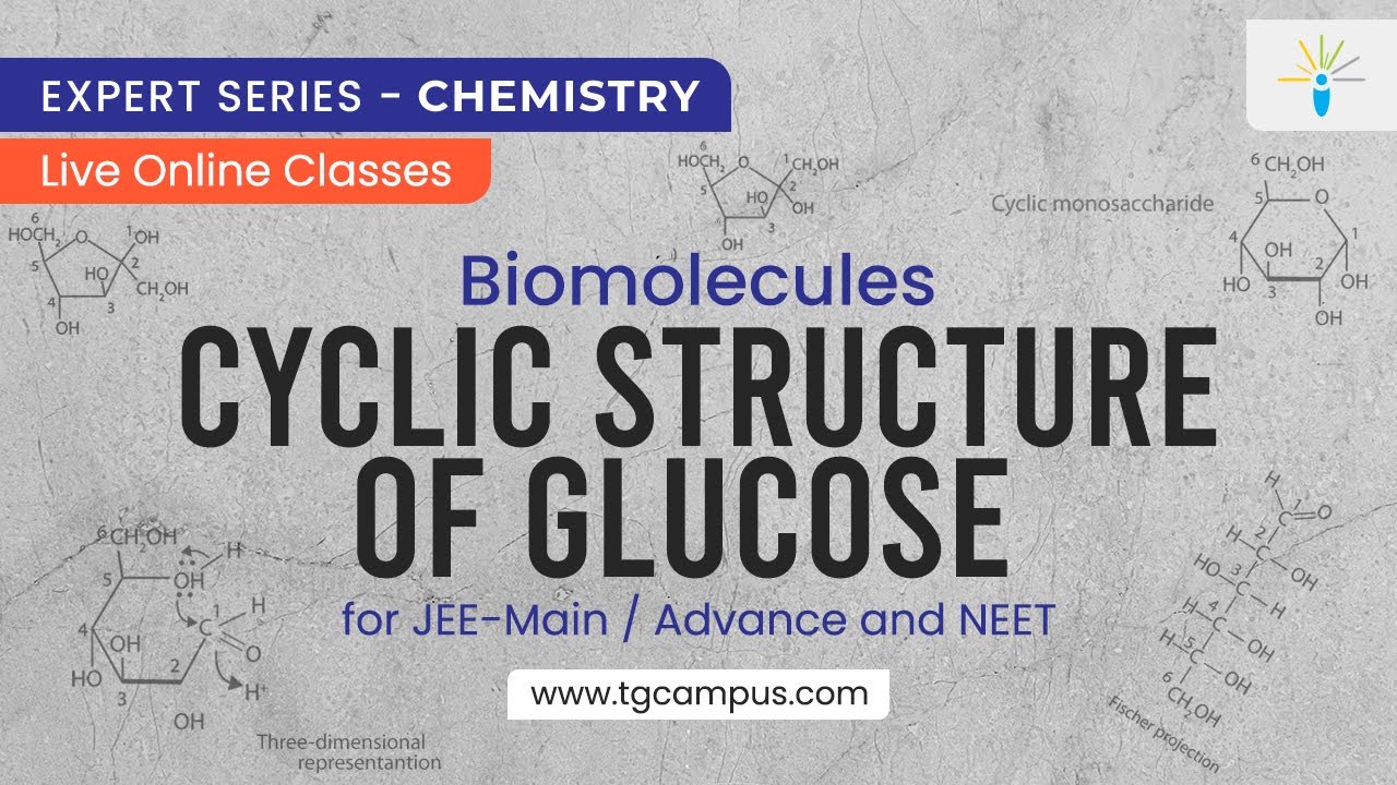 Cyclic Structure of Glucose | Biomolecules | JEE | NEET | Chemistry - TG Campus - YouTube