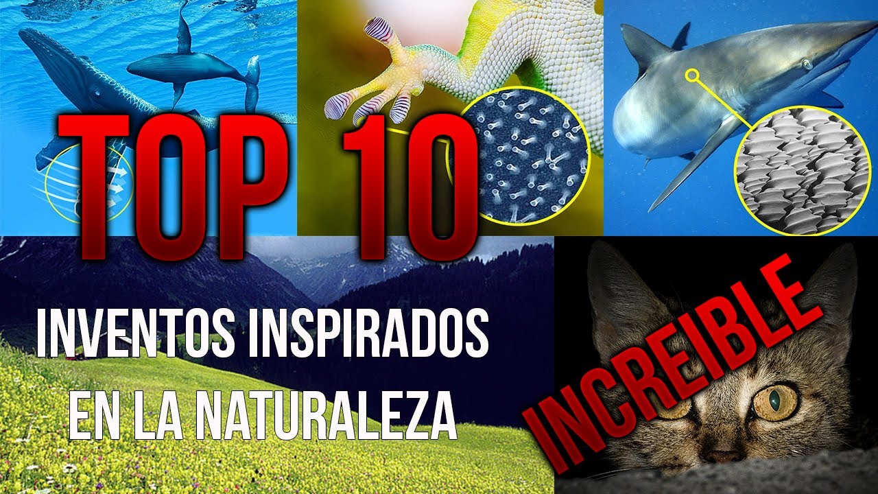 INCREÍBLE!! | 10 Inventos que fueron inspirados a Partir de Estos ...
