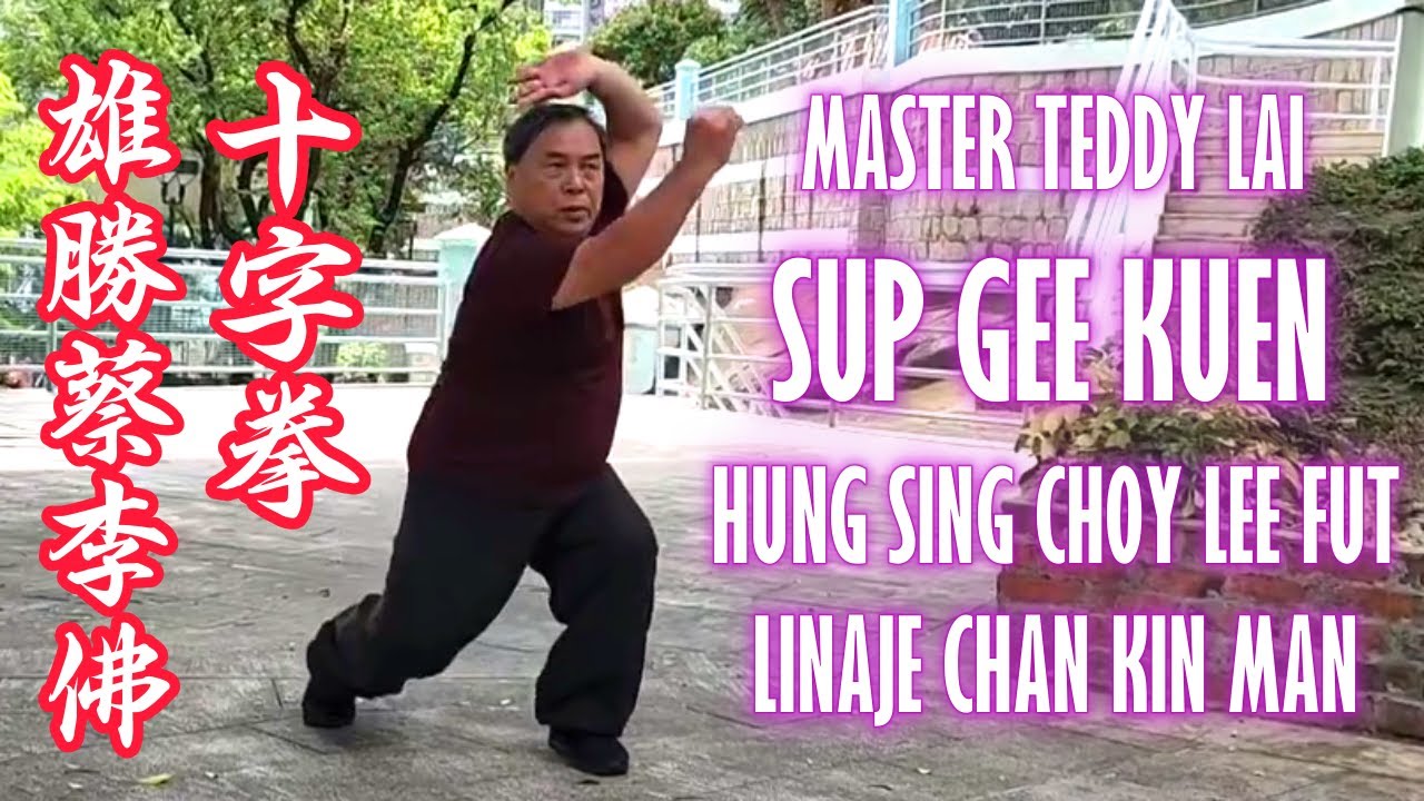 Hung Sing Choy Lee Fut Sup Gee Kuen 雄勝蔡李佛 十字拳 Ten Character Boxing Master Teddy Lai - YouTube