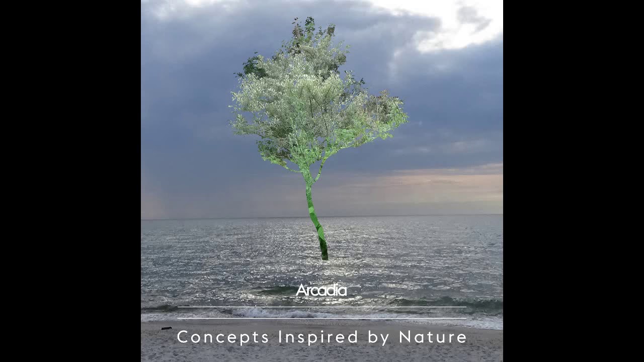 Dramatic Irony (Nature Traditional Remix) (Concepts Inspired by Nature ...
