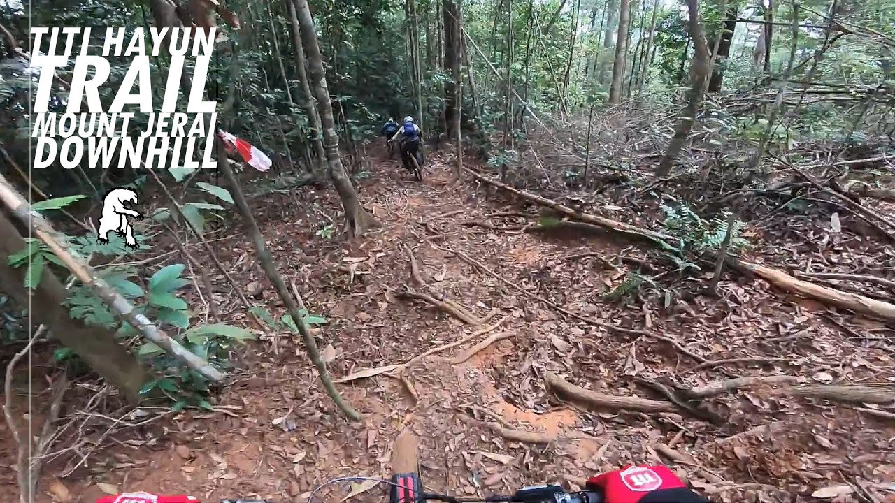 Mount Jerai Downhill | TITI HAYUN TRAIL (PART 2) | CHASING BOTAK - YouTube