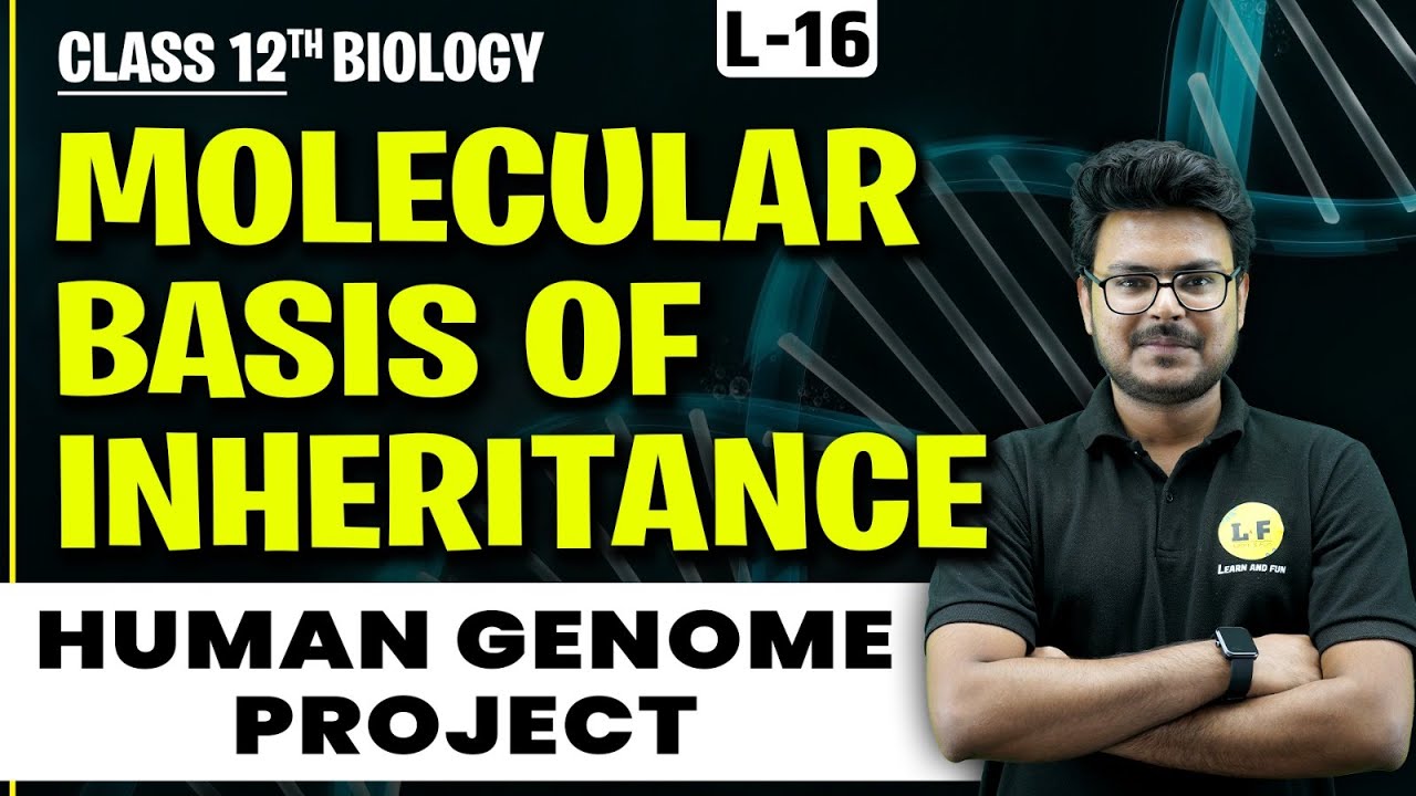 Molecular Basis of Inheritance Class 12 Biology | Human Genome Project ...