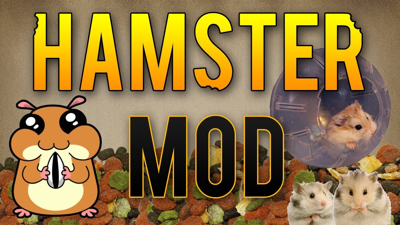 Predstavenie Módov Hamster Mod by Expl0ited [SK HD] - YouTube
