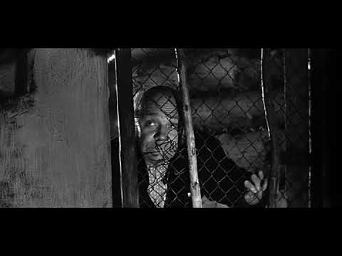 Ну что собаки, не признали новую власть? | Начальник Чукотки