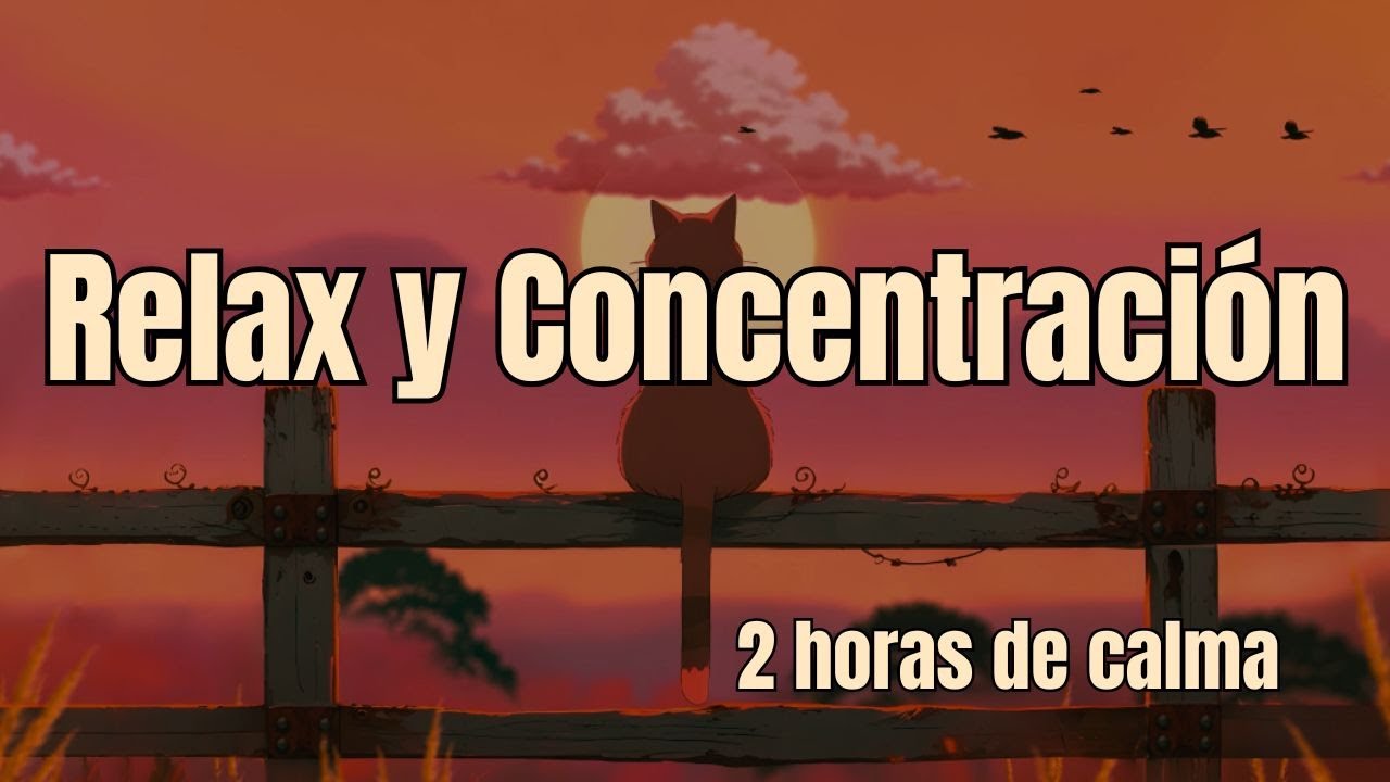 Gatito mirando atardecer | Ondas Alfa 11 Hz para concentración y ...