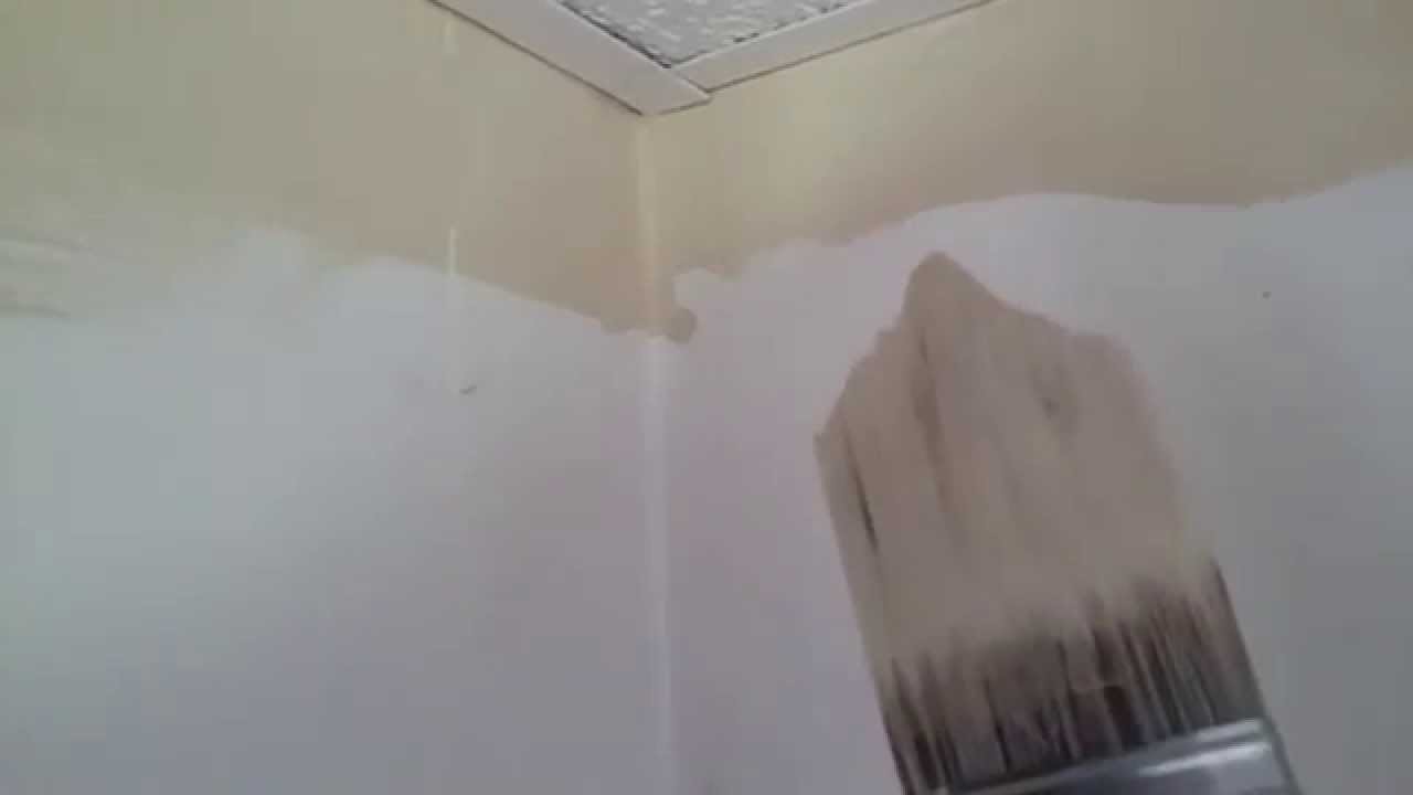 Great paint brush for edges and corners! Styletto Paint Brush, Quick ...