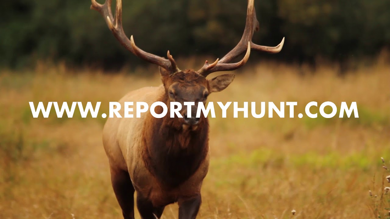 Hunters: Report Your Hunt by January 31 - YouTube