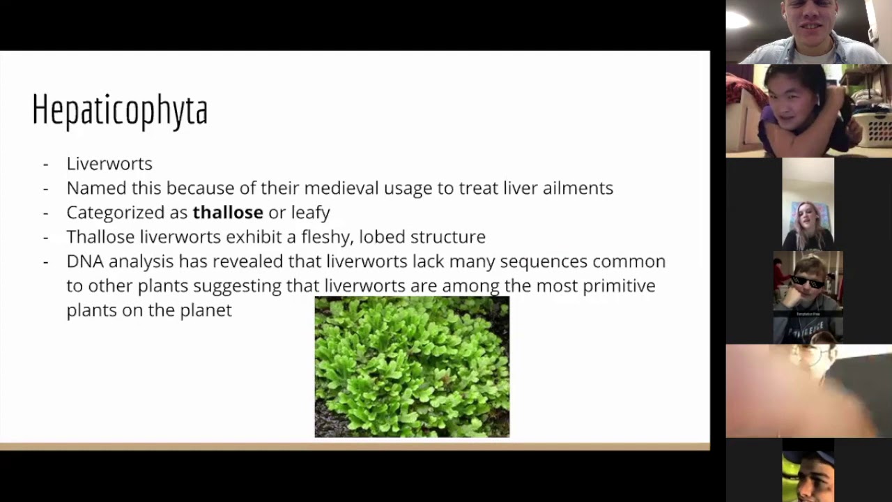 BIO ZOOM CLASS #1 - YouTube