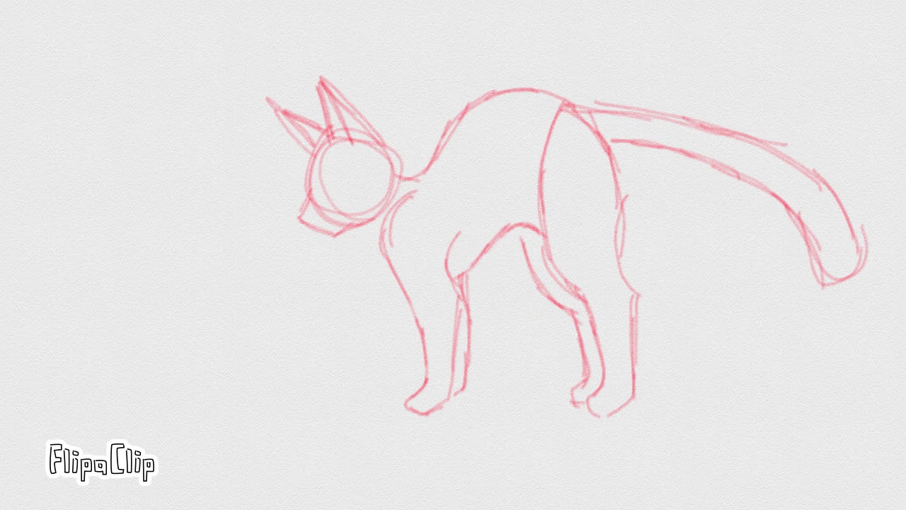 Cat stretching animation test - YouTube