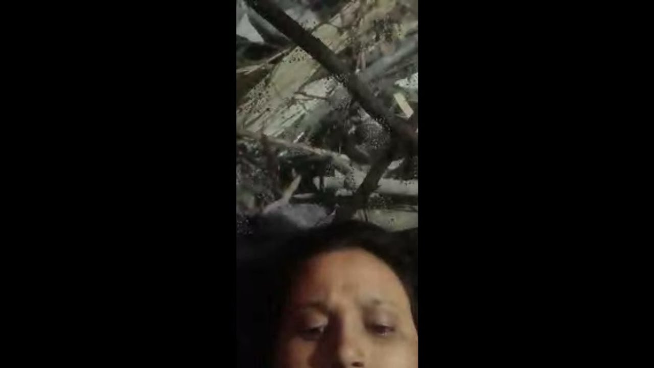 Gudiya Yadav ji 8081 - YouTube