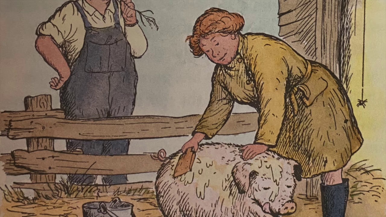 Charlotte's Web CH16 - YouTube