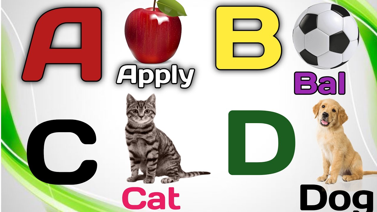 A apply B bal C cat D dog alphabet ABC alphabet - YouTube