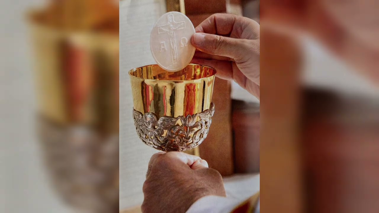 77 Graces derived from the Devout Attendance of the Holy Mass ...