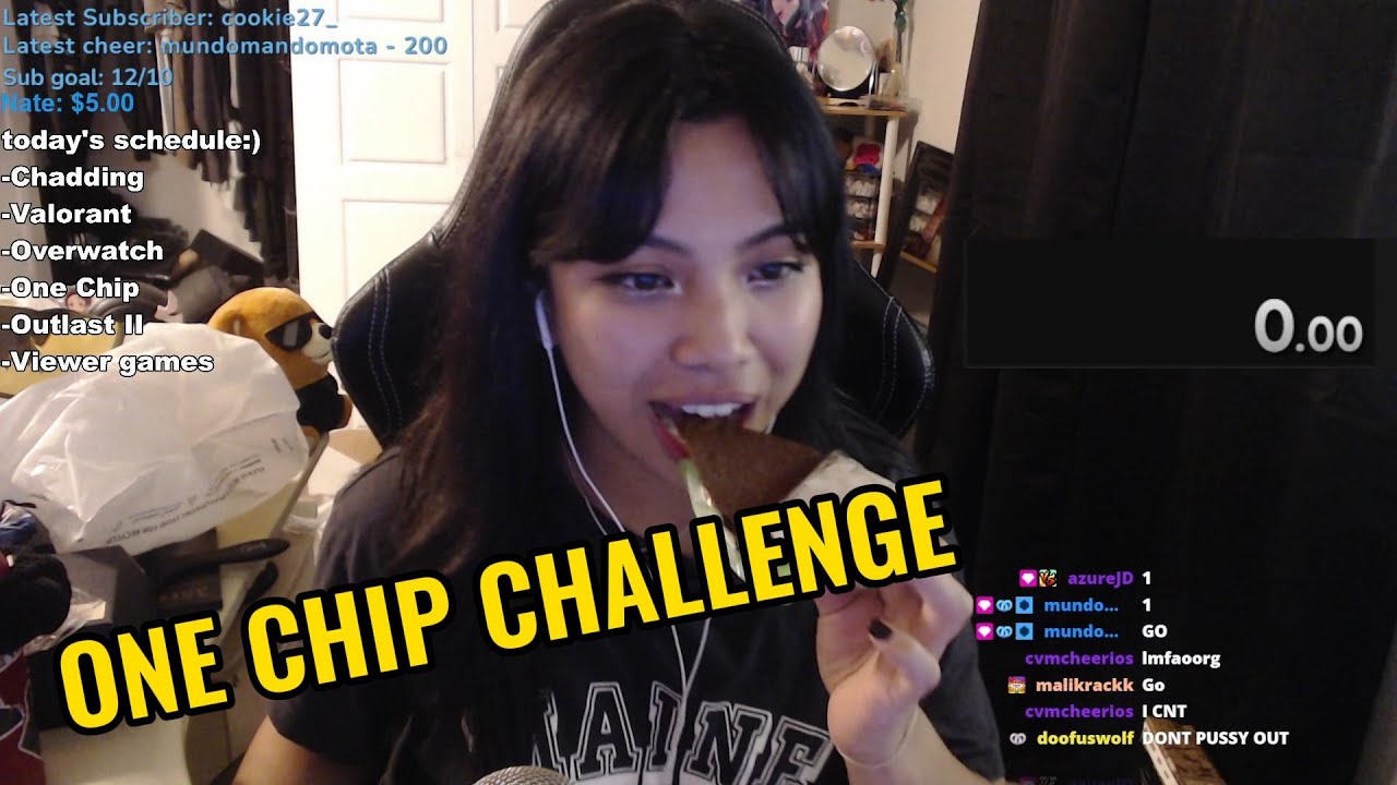 2023 ONE CHIP CHALLENGE - YouTube