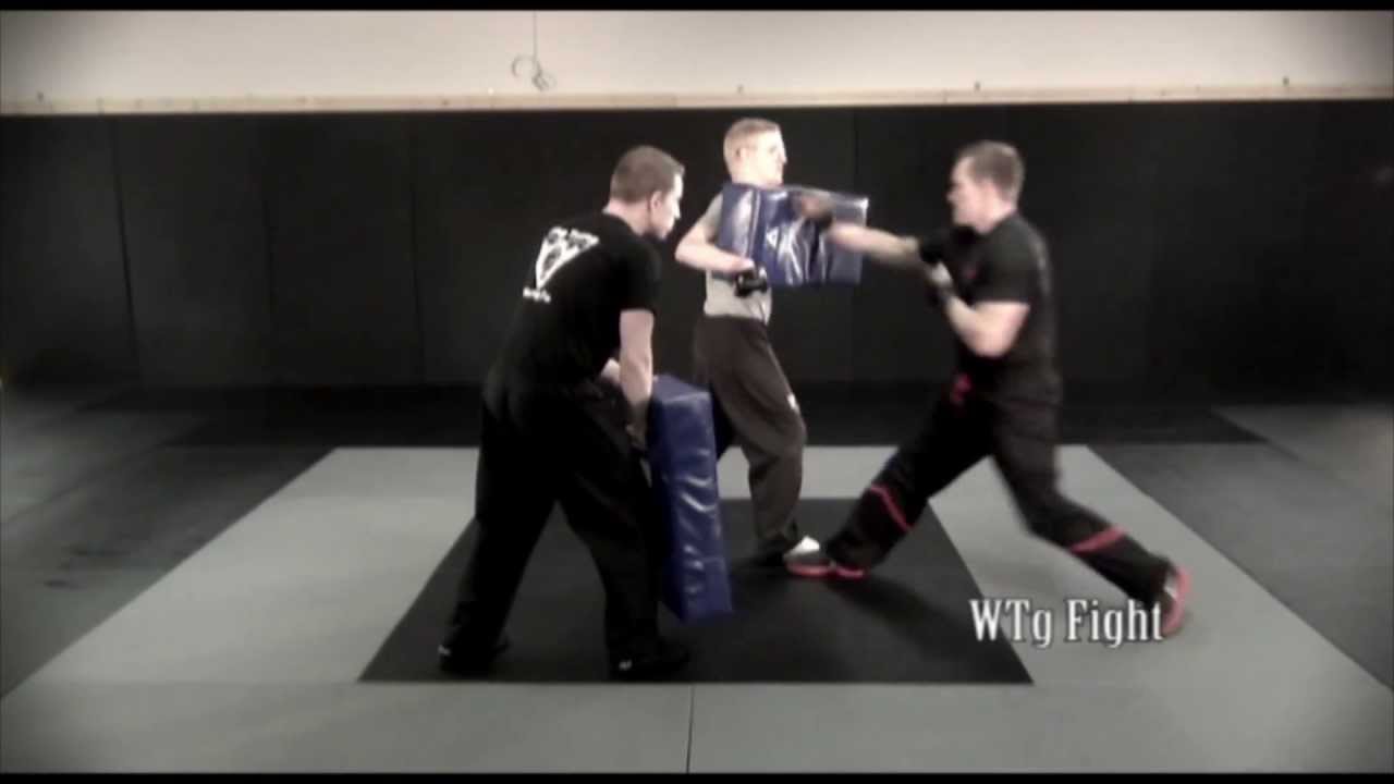 WTg Fight 2013 - Wing Tsung Kuopiossa - YouTube