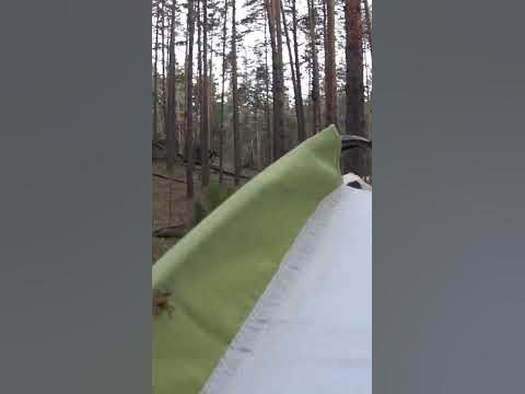 Паук в палатке. Велопоход - YouTube