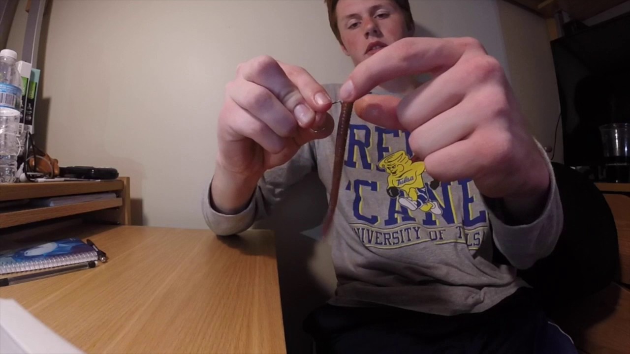 How To Rig A Slider Head Worm - YouTube
