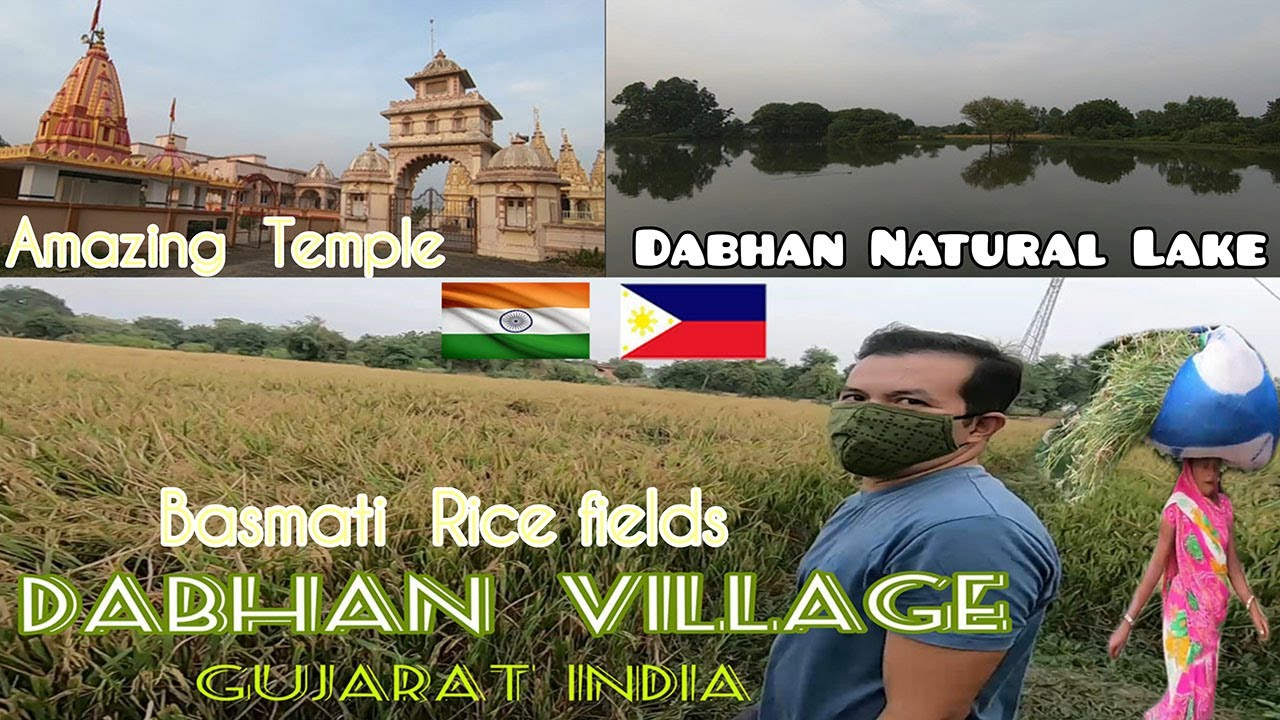 FILIPINO MARRIED TO INDIAN WOMAN. DABHAN Village, Basmati Rice fields ...