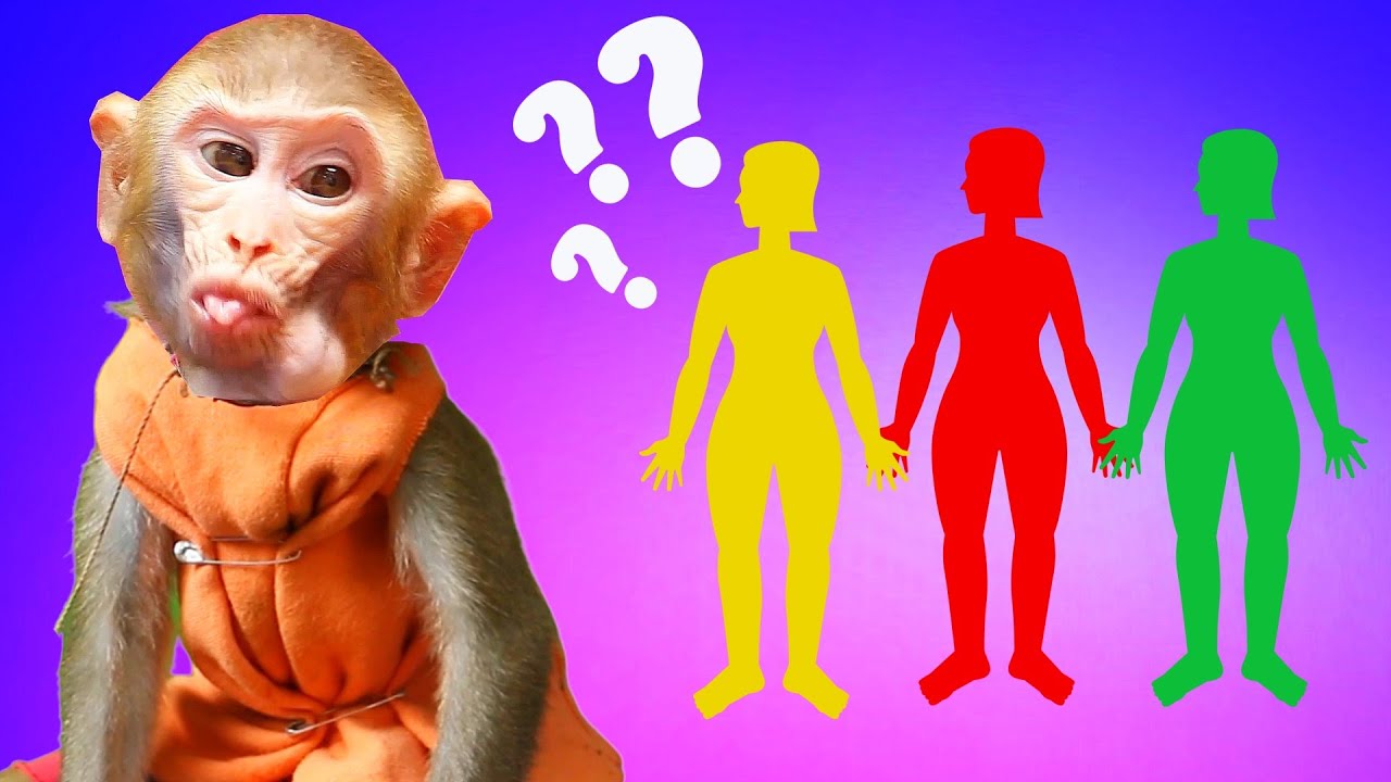 tickle girl tickle monkey| Nursery Rhymes and Kids Songs - YouTube