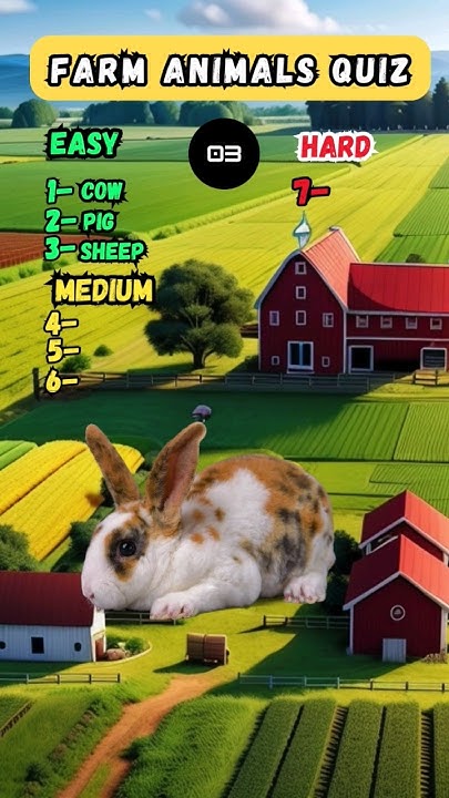 farm animals quiz #quiz #trivia - YouTube