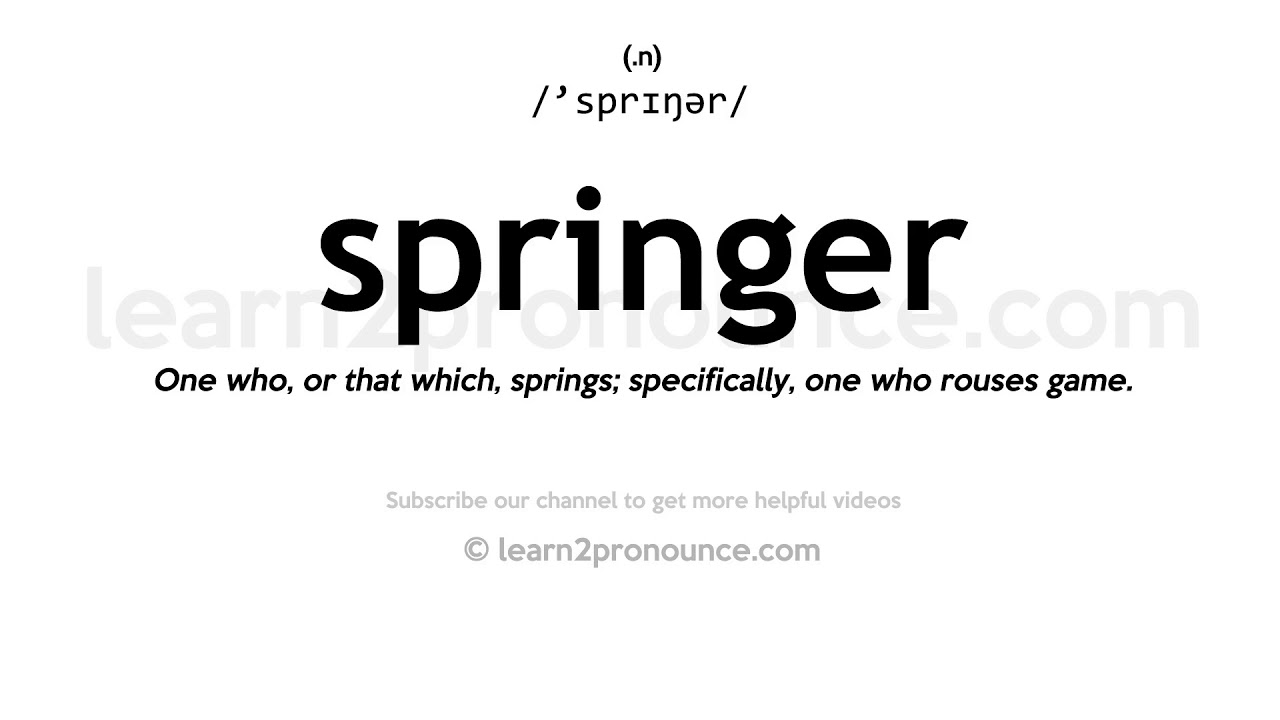 Pronunciation of Springer | Definition of Springer - YouTube